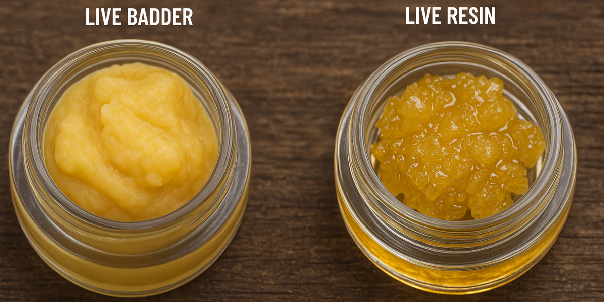 Live Badder Vs Live Resin | Gold Canna