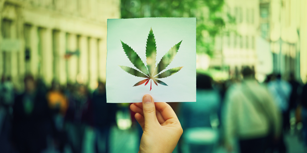 Cannabis Legalization vs. Decriminalization Guide | Gold Canna