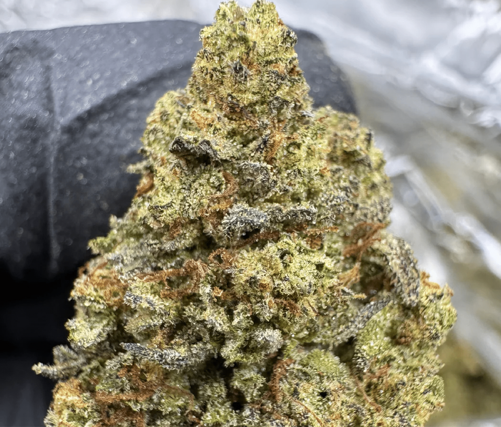 Gary Payton THCA Flower | Gold Canna