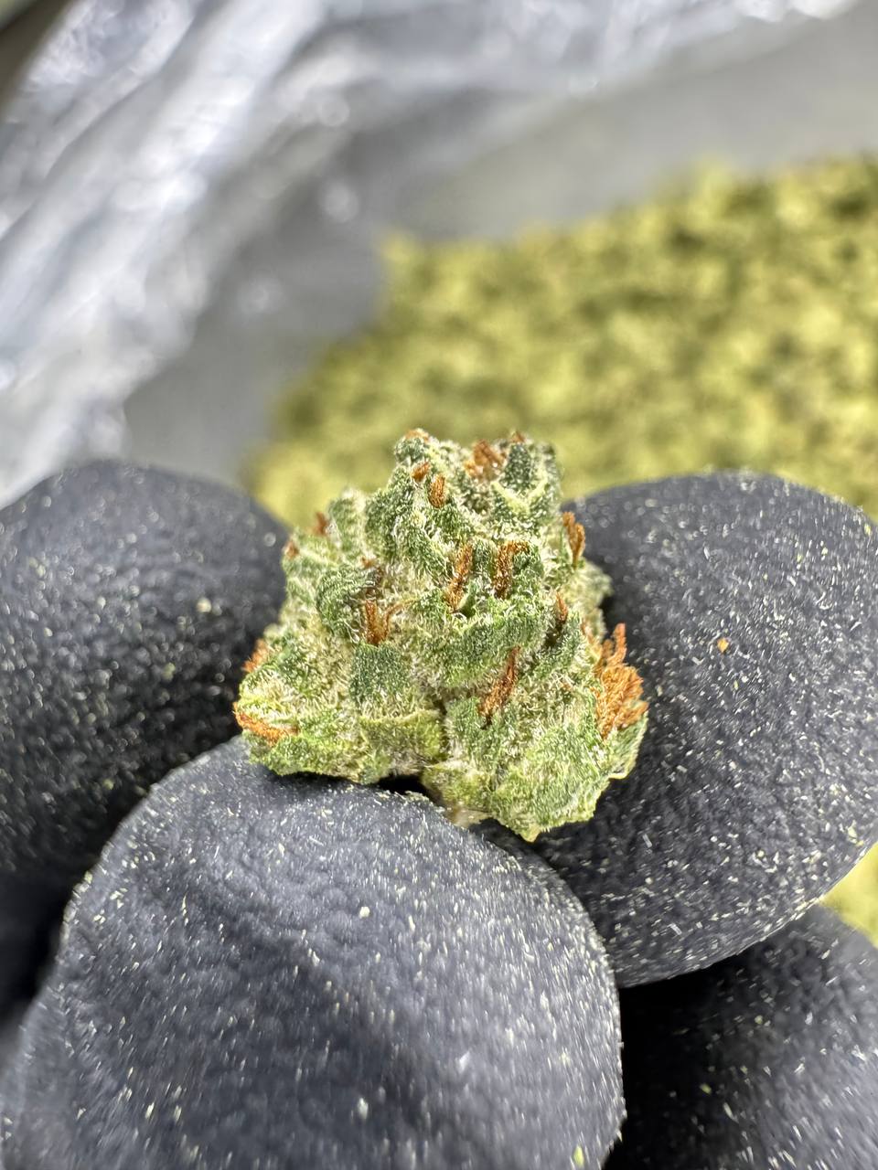 Runtz - Gold Nuggets - THCa Flower TOP SHELF SMALLS | Gold Canna