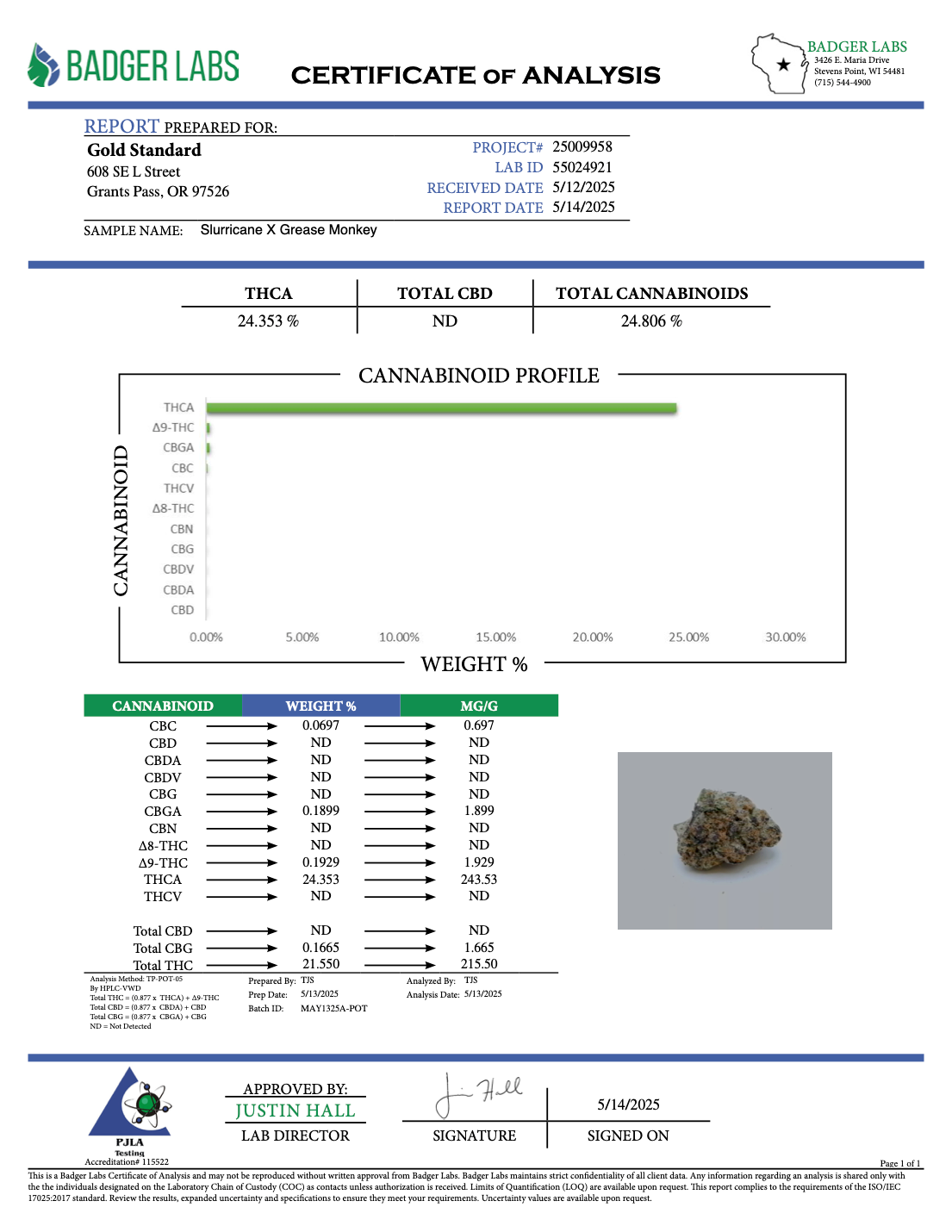 Slurricane X Grease Monkey THCA Flower | Explore Now | Gold Canna